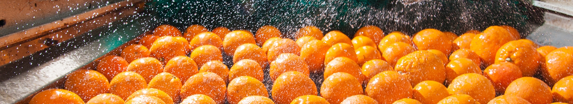 AMCI : Advanced Micro Controls Inc :: Stepper Motors